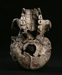 Hominid Skull - Homo erectus (ergaster) Dmanisi